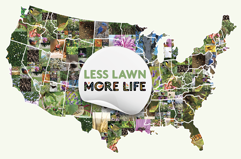 Landscape Information – Friends of Hillmoor